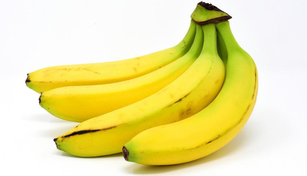 Mexico Begins Exporting Bananas to China | Produce Report Mexico Begins Exporting Bananas to China | Produce Report